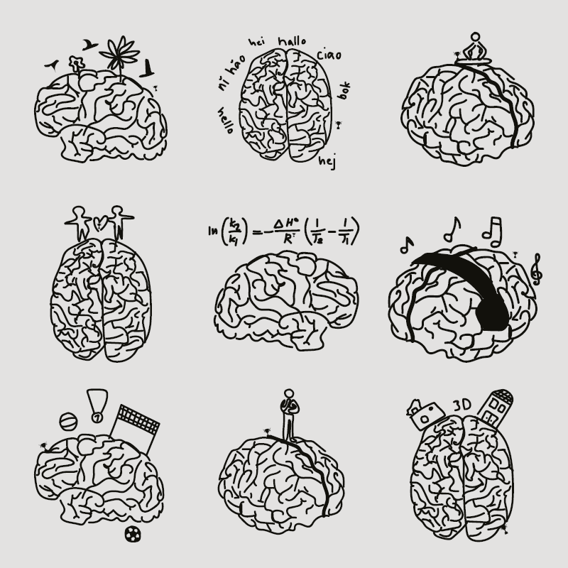 How are you smart? There are 9 types of intelligence – Kongstad Studio